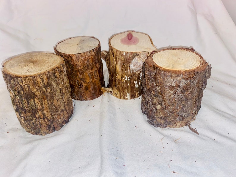 Live Edge Log Stumps Set of 5 Assorted Types Rustic Wood - Etsy