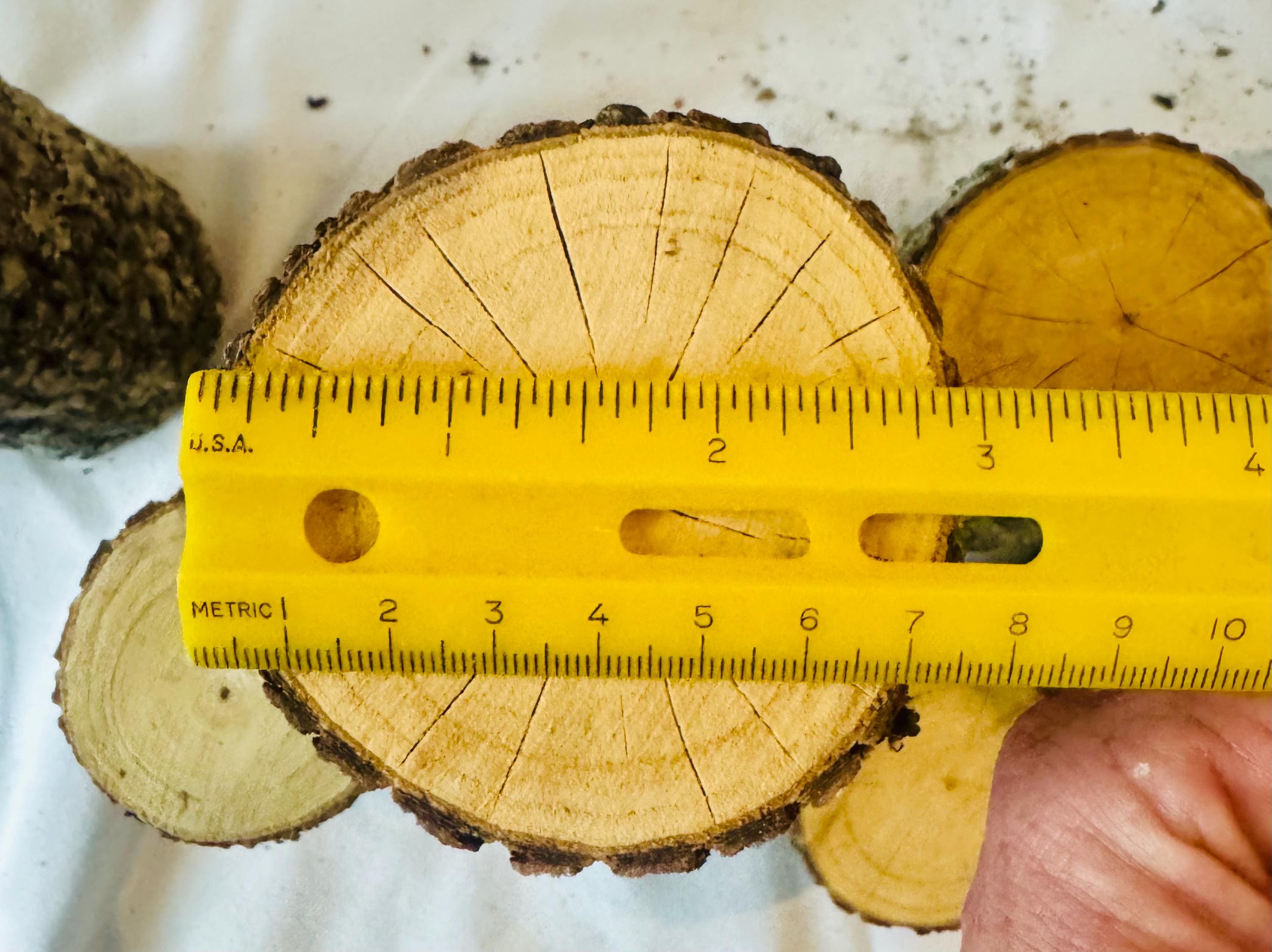 Rustic Wood Log Stumps: Set of 7, Natural Bark Decor - Etsy