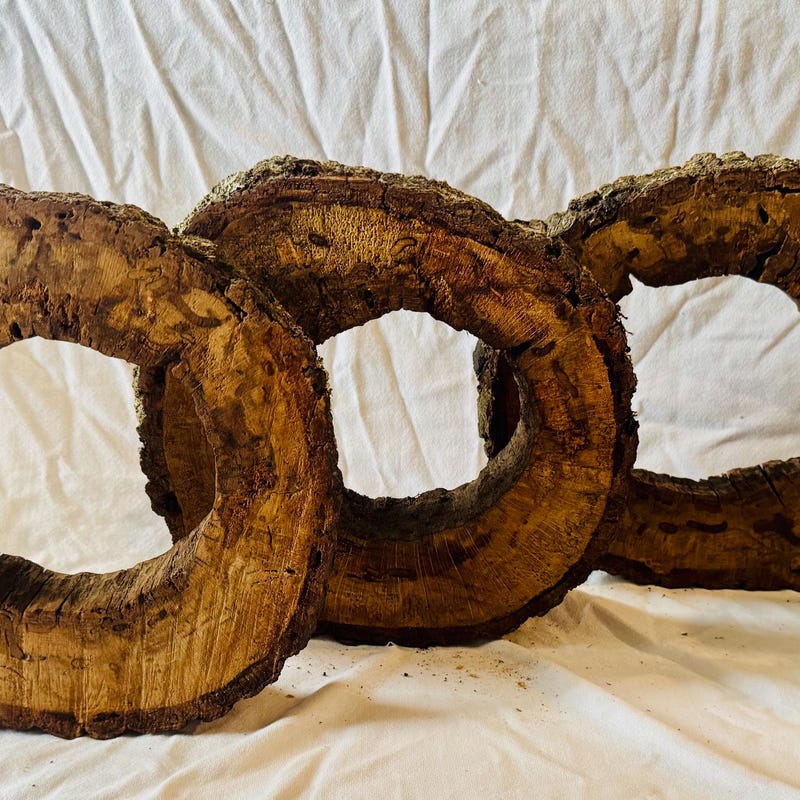 Tree Trunk Slices - Etsy