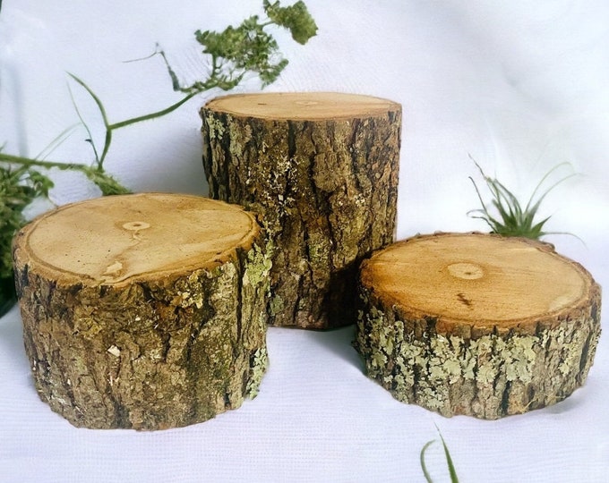 Mini Tree Stump Fairy Garden Miniature - Etsy