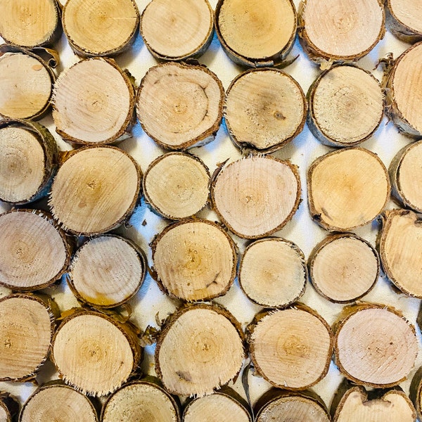 Bulk Wood Slices - Etsy