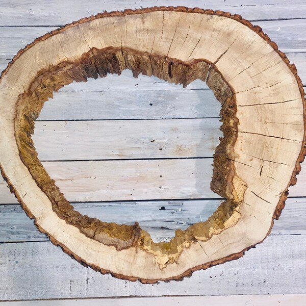Tree Trunk Slices - Etsy