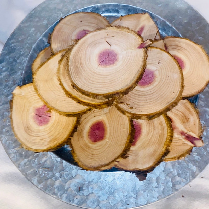 Cedar Circles - Etsy