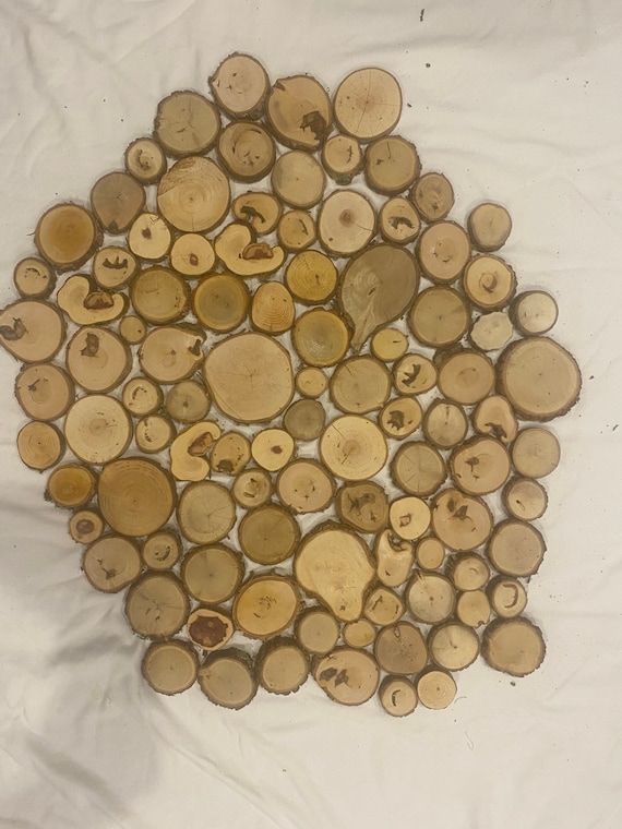 Arte Con Ramas Y Rodajas De Madera Rebanada De Madera Sobre Ramas De