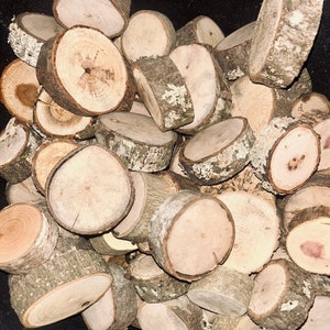 100 1” Thick Wood Slices - Mixed Tree Slices- Mosaic Wood Art -assorted ...