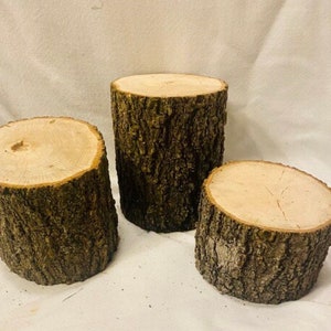 Rustic Wood Log Stumps - Set of 3 With 3-4” Diameter- Rustic Wood ...