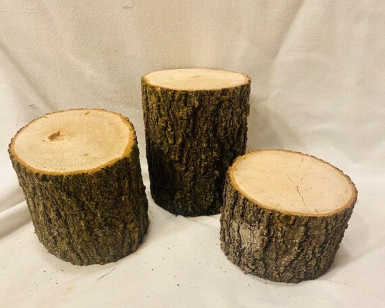 Rustic Wood Log Stumps Set of 3 With 3-4 Diameter Rustic - Etsy