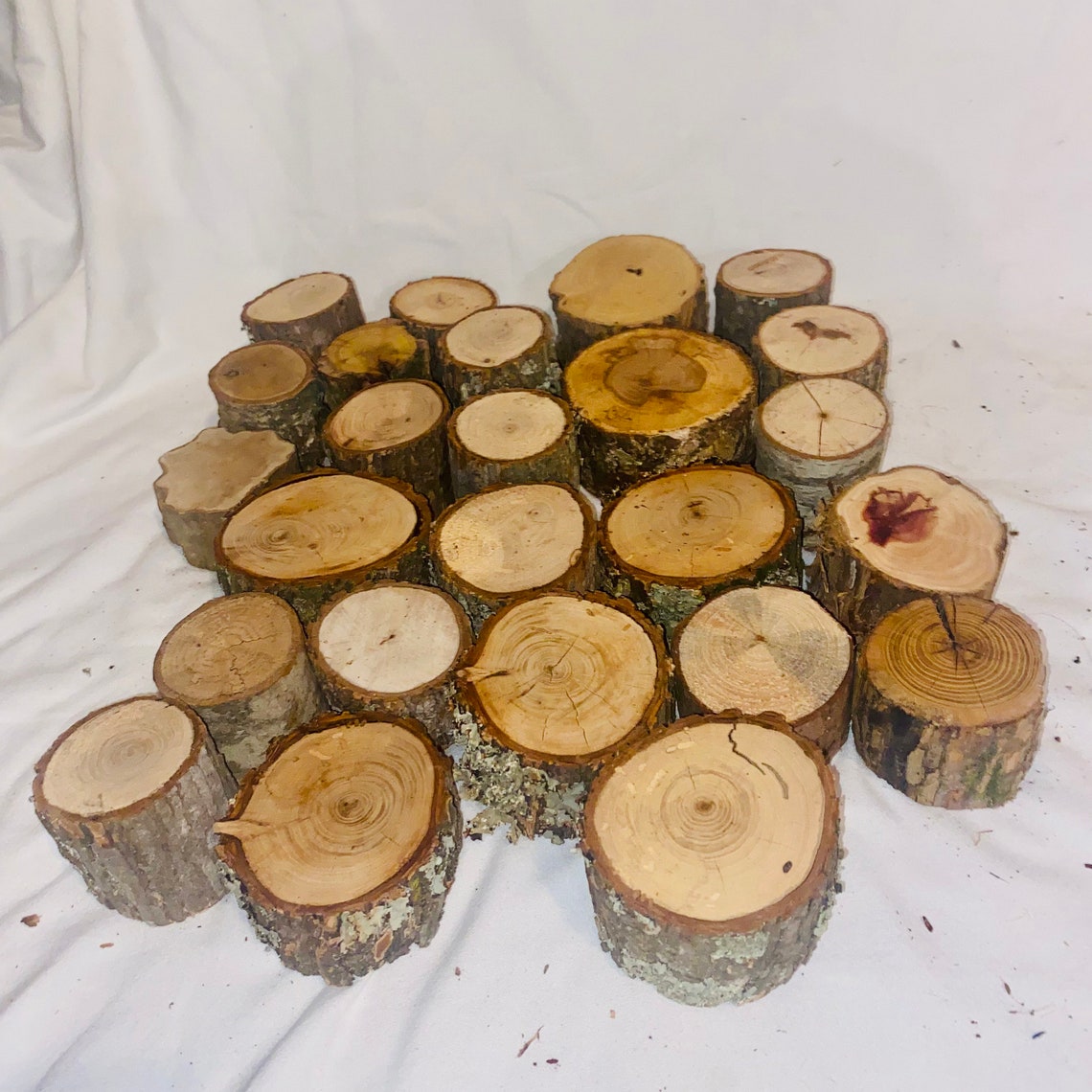 Rustic Wood Log Stumps (set of 20): Fairy Garden Decor, Wedding ...