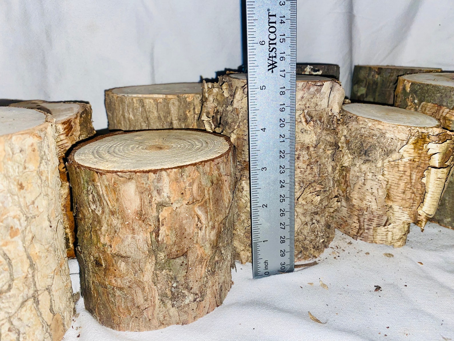 Live Edge Log Stumps Set of 5 Assorted Types Rustic Wood - Etsy