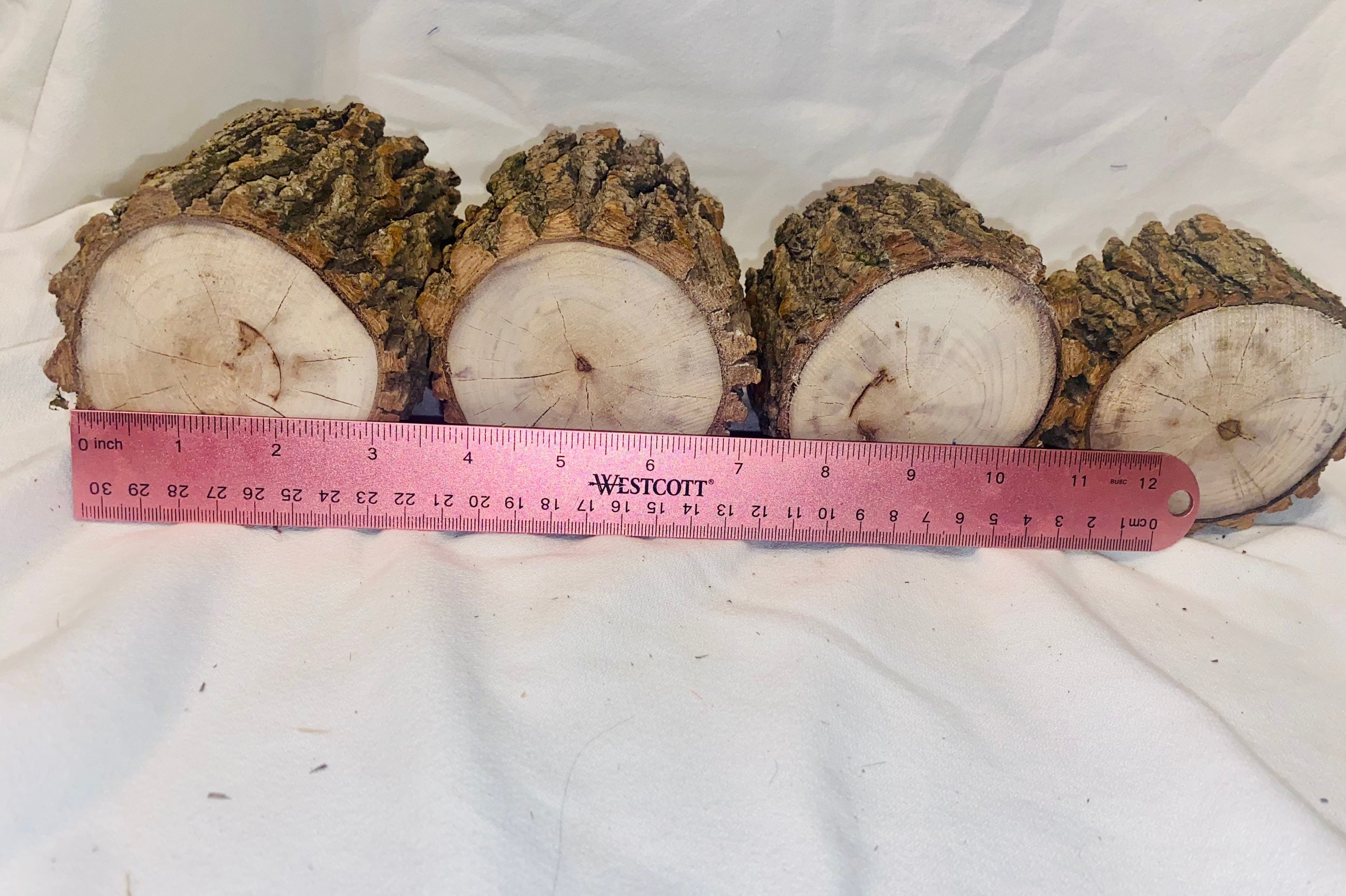 Rustic Wood Log Stumps Set of 4 Diameter 3 to 4 - Etsy