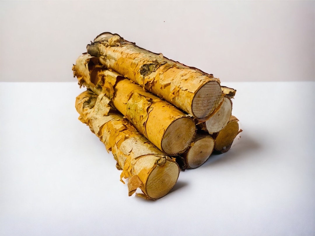 Rustic Birch Logs - Set of 6 - Natural Home Decor - Etsy