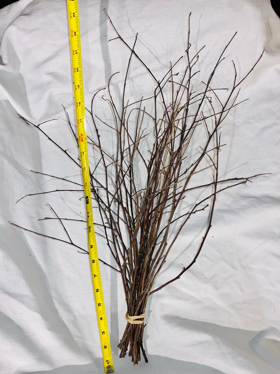 Extra Long Birch Twigs (20-24"): Rustic Wedding Floral Arrangement - Etsy