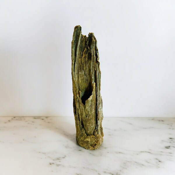 Log Vase - Etsy