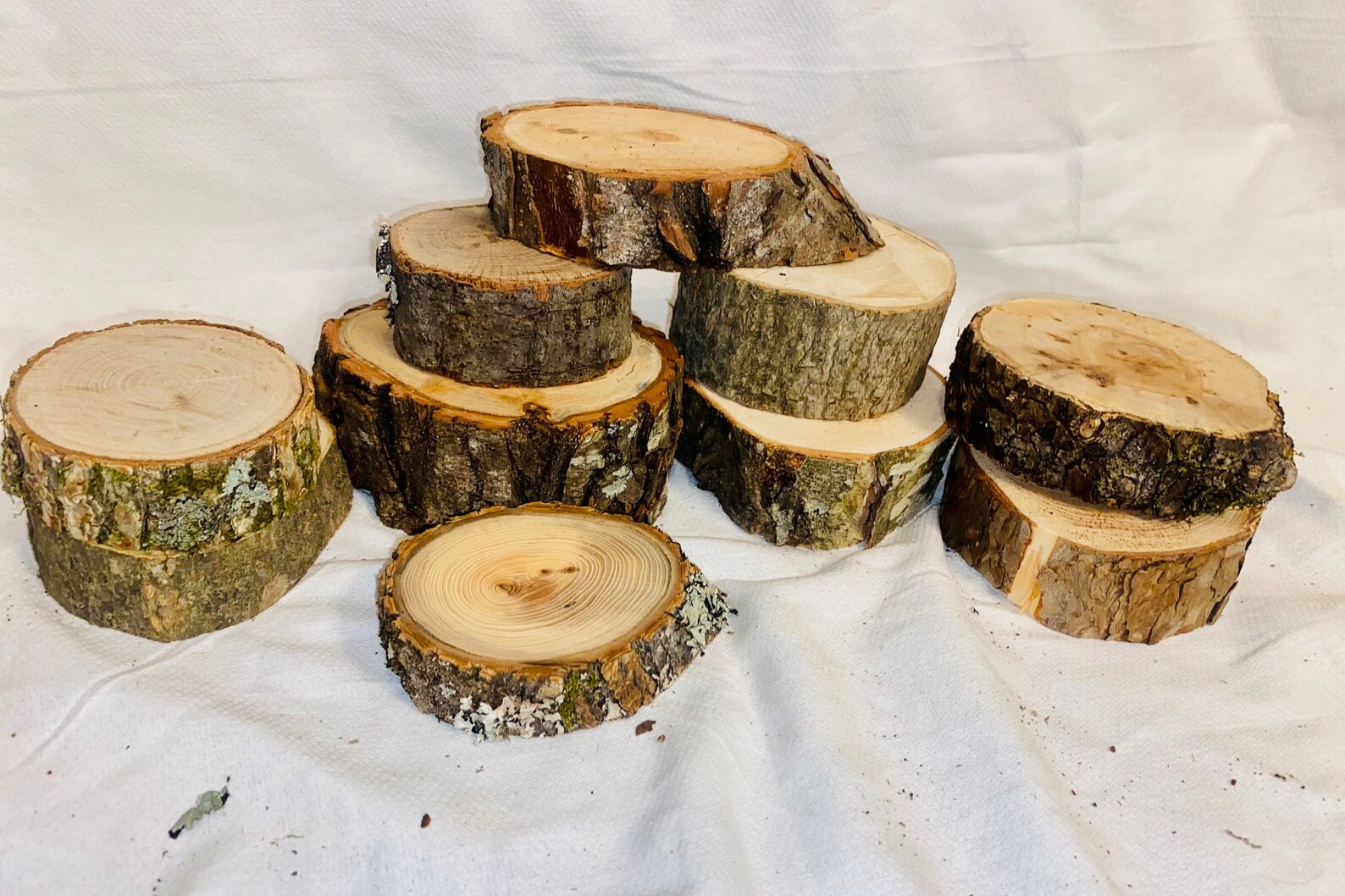 Live Edge Log Stumps Set of 10 Assorted Types Rustic - Etsy