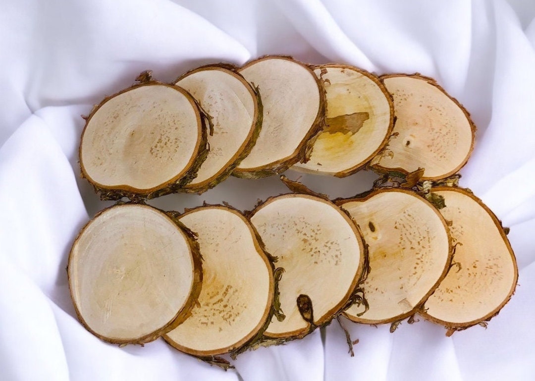 Birch Tree Slices: 4-inch Rustic Wood Rounds, Craft Supplies (10 Count ...
