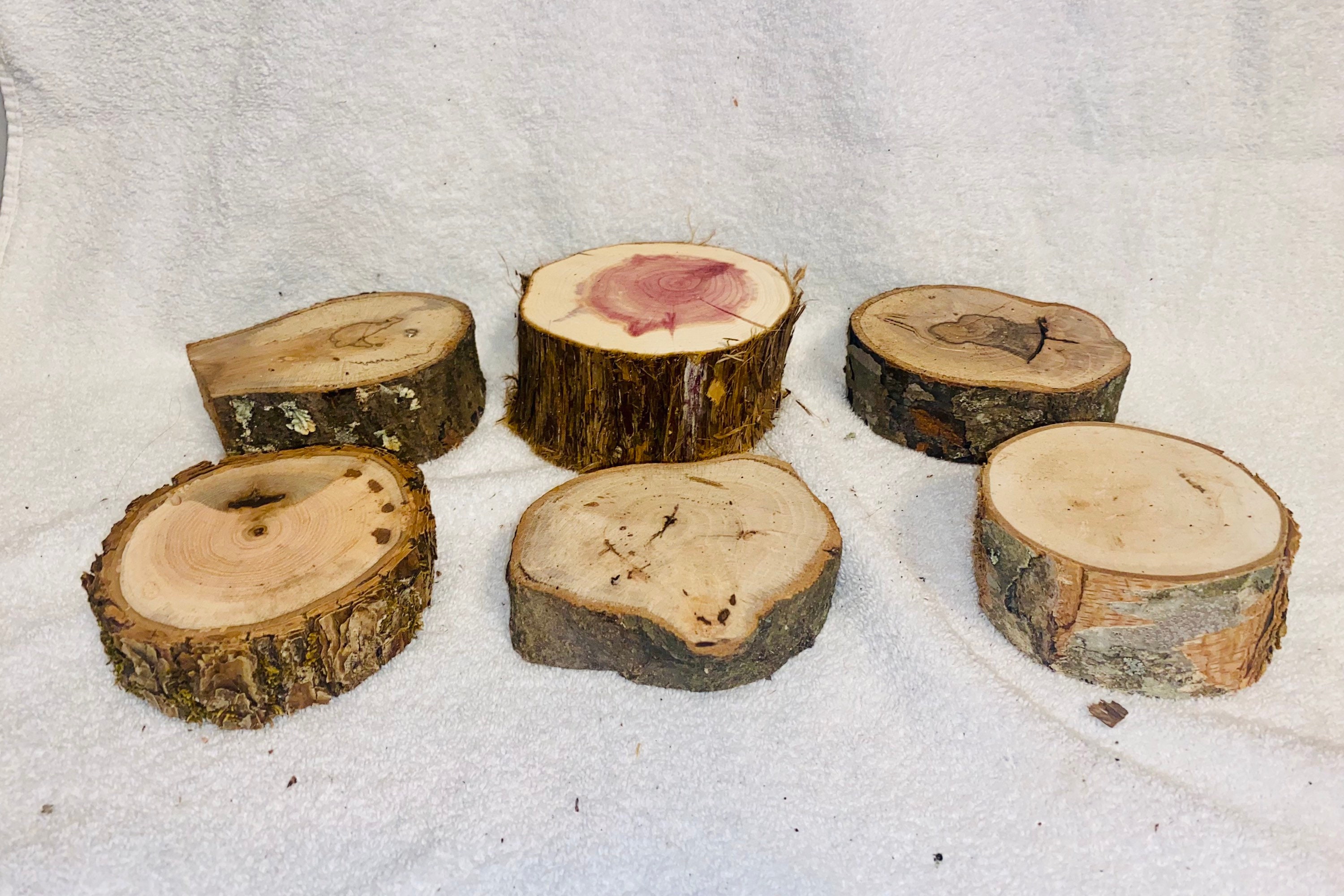 Live Edge Log Stumps Set of 8 Assorted Types Rustic Wood - Etsy