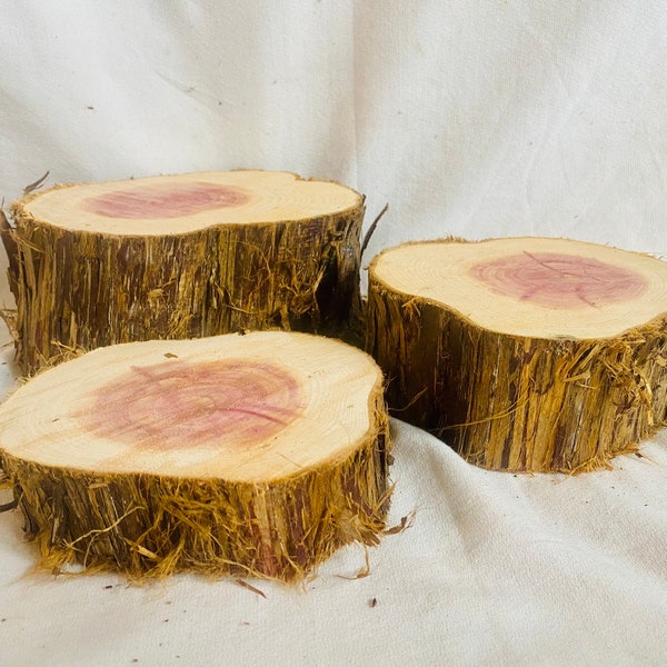 Live Edge Wood Riser - Etsy