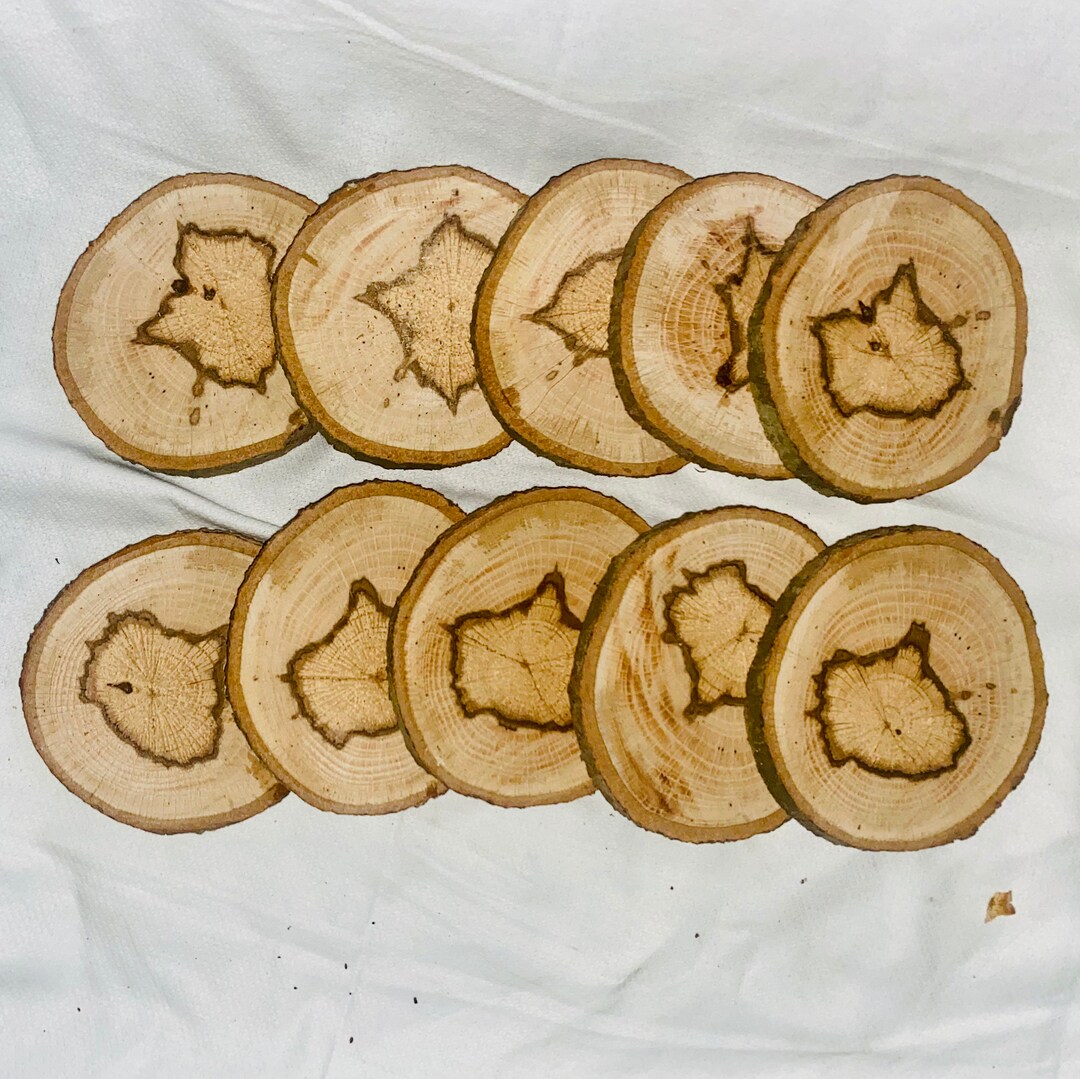 Oak Wood Slices - Set of 10 - Red Oak - 3”-4” Diameter- Oak Disc - Oak ...