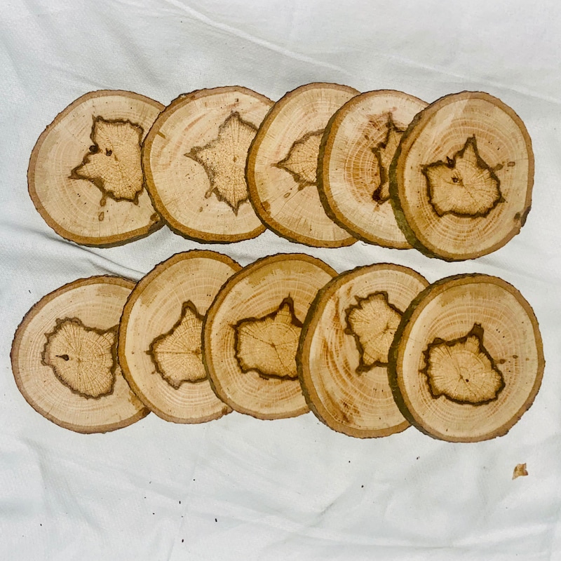 Oak Wood Slice - Etsy