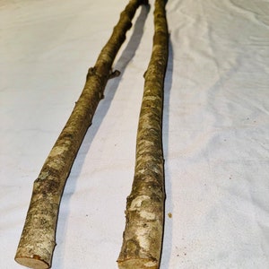 Natural Birch Limbs (set of 2): 50" Craft Sticks, Birch Rods - Etsy