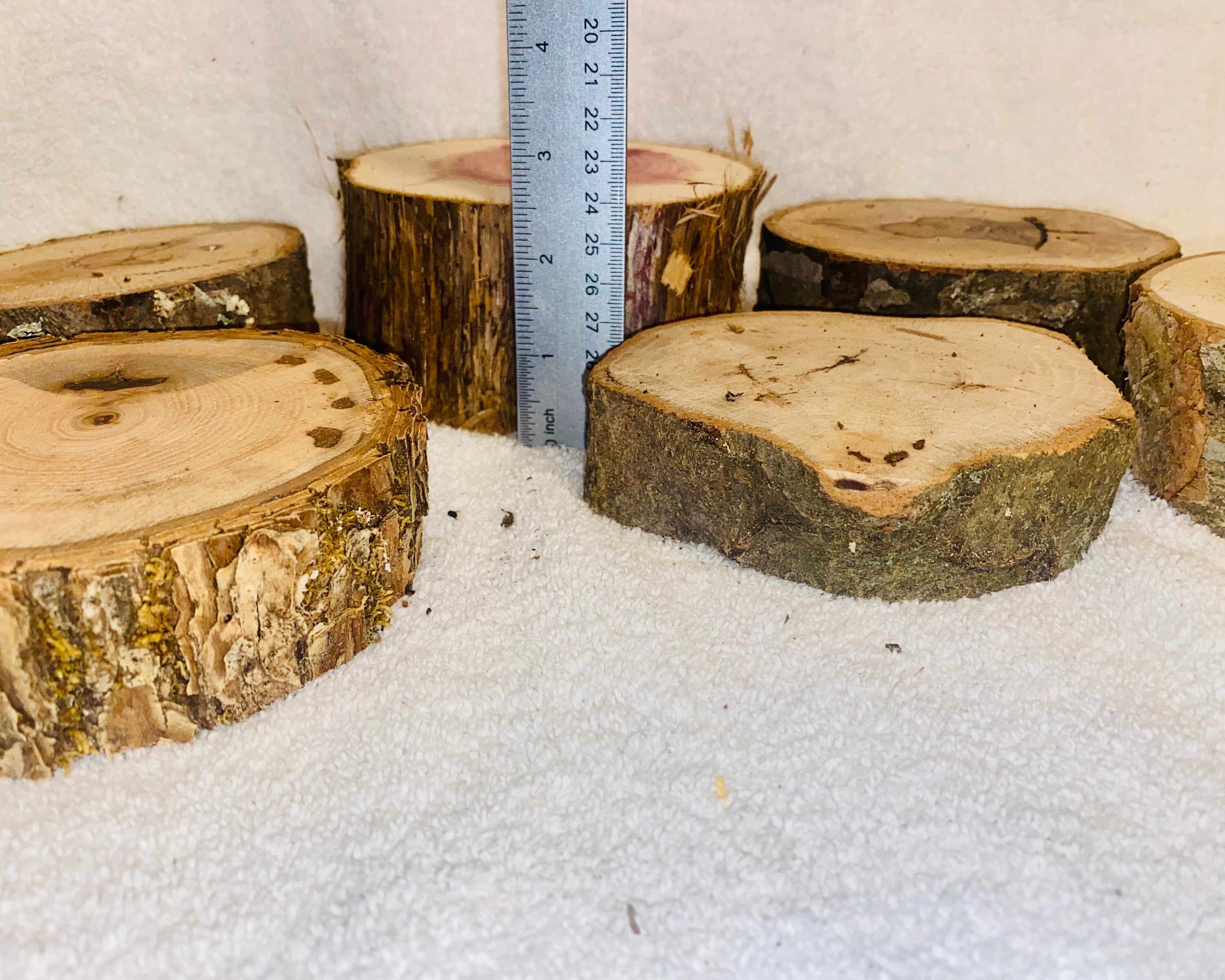 Live Edge Log Stumps Set of 8 Assorted Types Rustic Wood - Etsy