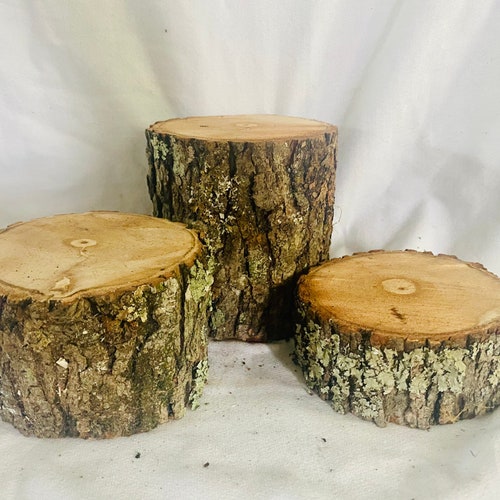 Rustic Wood Log Stumps Set of 4 Diameter 3 to 4 - Etsy