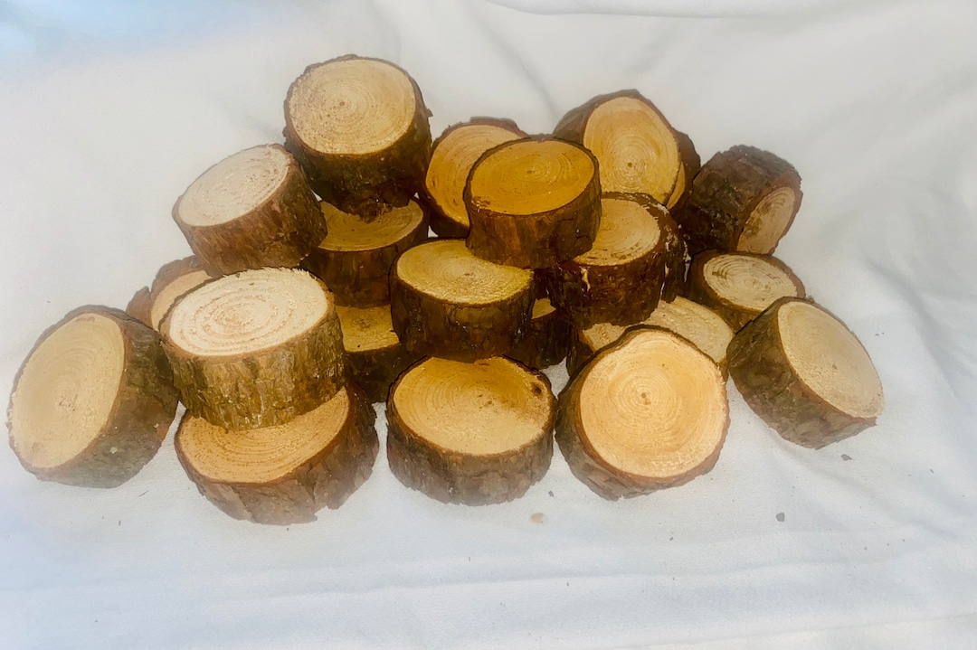 Natural Pine Slices With Bark - Set of 20 - 1” Thick- 2-3” Diameter ...