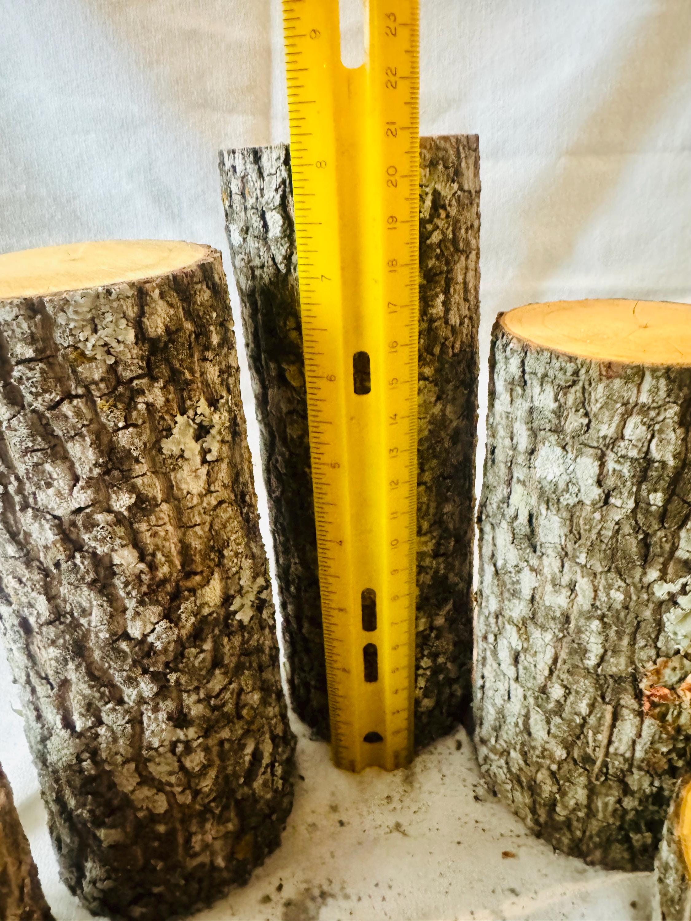 Rustic Wood Log Stumps: Set of 7, Natural Bark Decor - Etsy