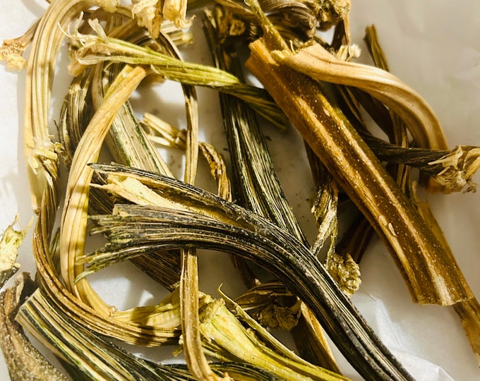 10 Real Pumpkin Stem Pieces dried Velvet Pumpkin Stems Fall Crafting ...