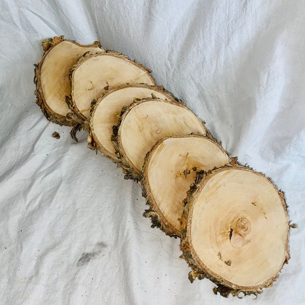 Birch Wood Slab - Etsy Canada