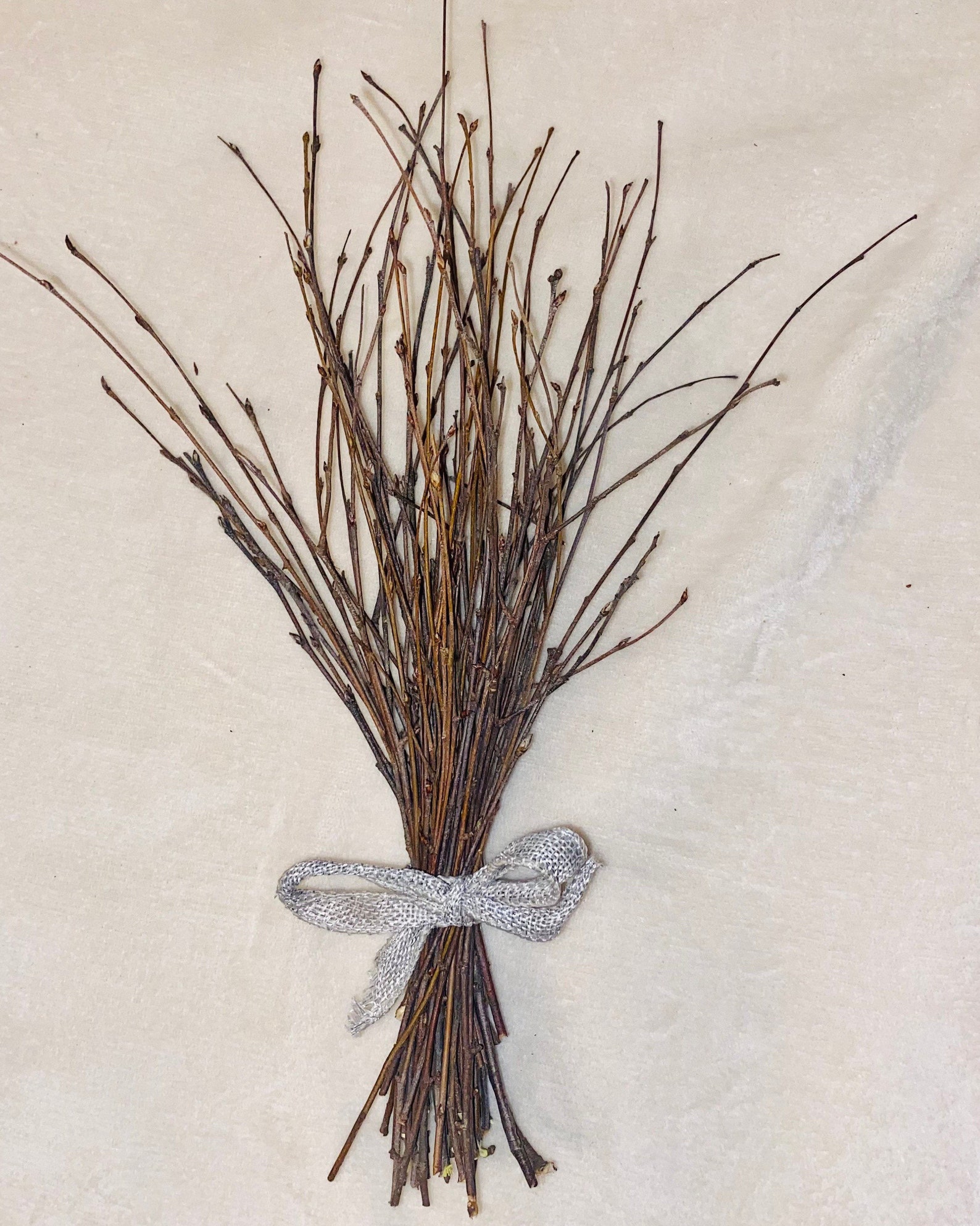 Bundle of Natural Thin Birch Twigs 10 12 Long 50 Twigs | Etsy