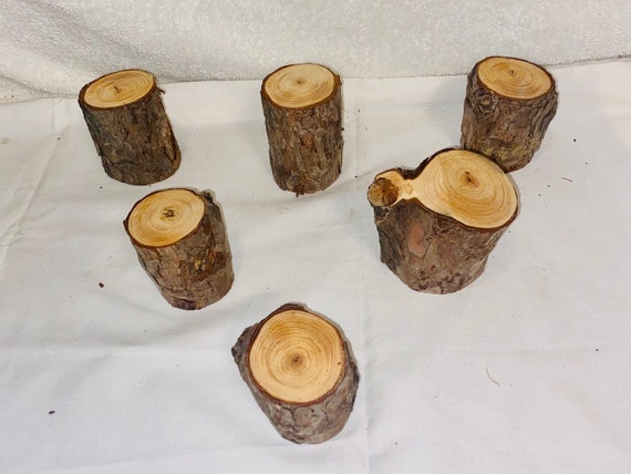 Rustic Wood Stumps Set of 6 | Etsy