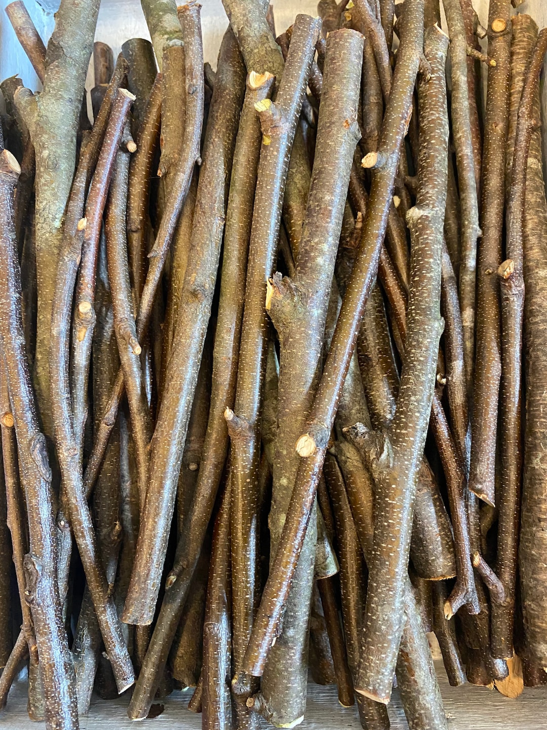 Fresh Birch Stick Bundle - 25 Count - Etsy