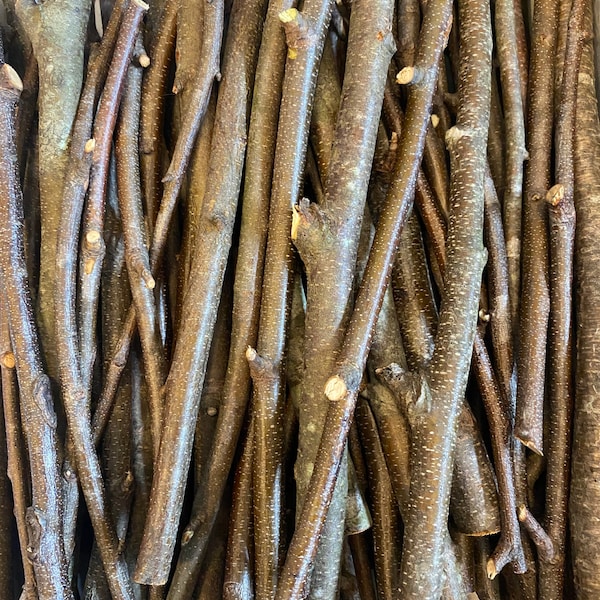 Long Birch Twigs - Etsy