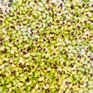 Purple Hull Pea Seeds (30+) - Etsy