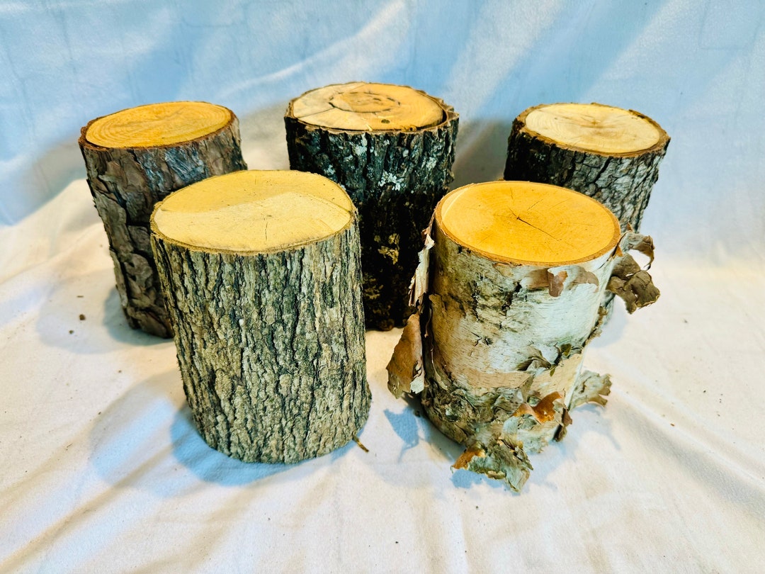 Rustic Wood Log Stumps (set of 5): Natural Bark Decor - Etsy