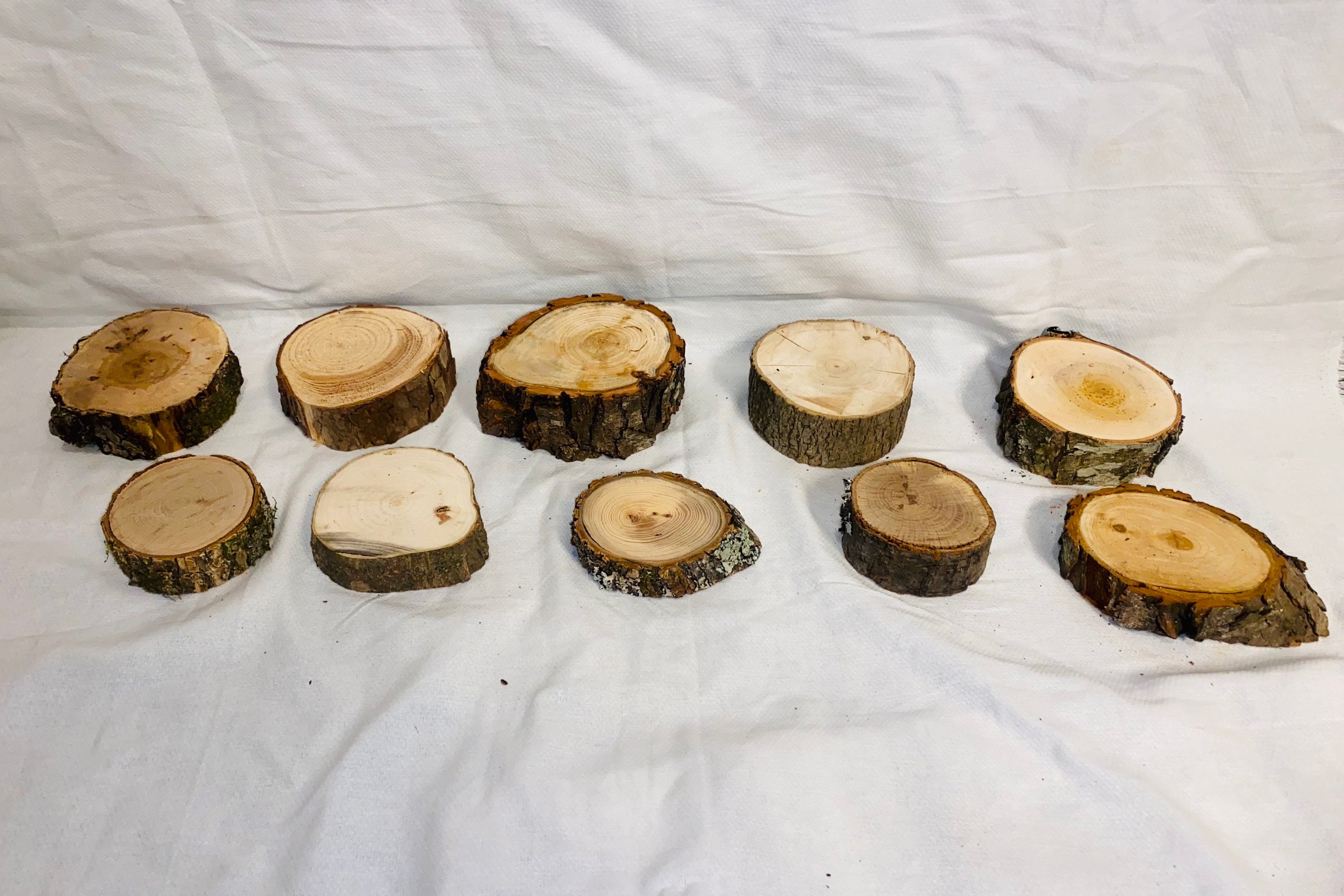 Live Edge Log Stumps Set of 10 Assorted Types Rustic - Etsy