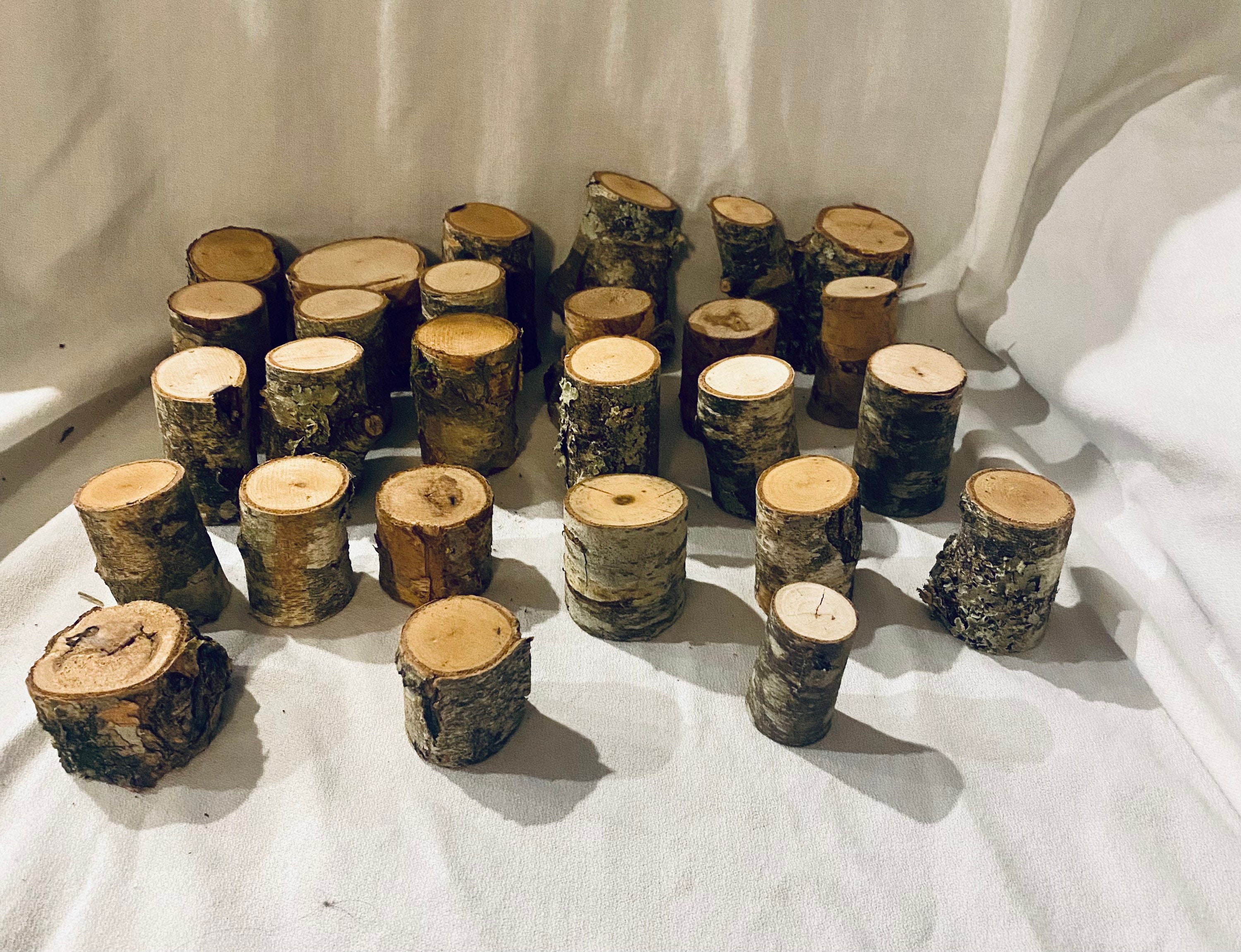 Birch Log Pieces 25 Count Assorted Sizes Small Birch - Etsy