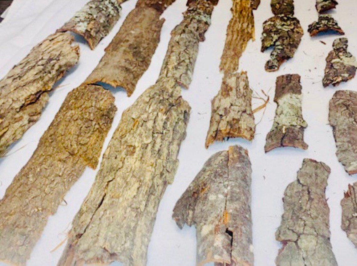 Natural Tree Bark 10 Ounces All Natural Tree Bark Pieces | Etsy