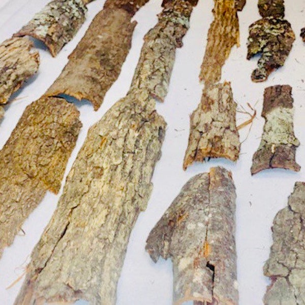 Tree Bark - Etsy