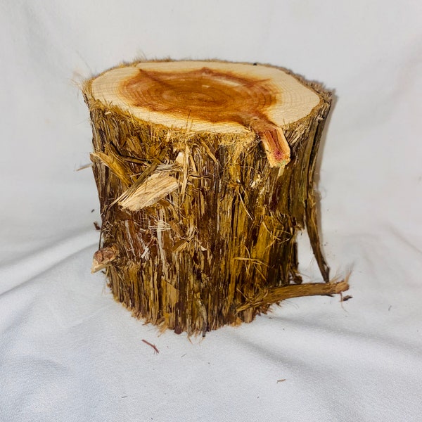 Live Edge Wood Riser - Etsy