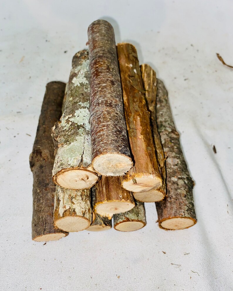 Small Wood Logs Set of 10 Assorted Mini Logs Wood - Etsy