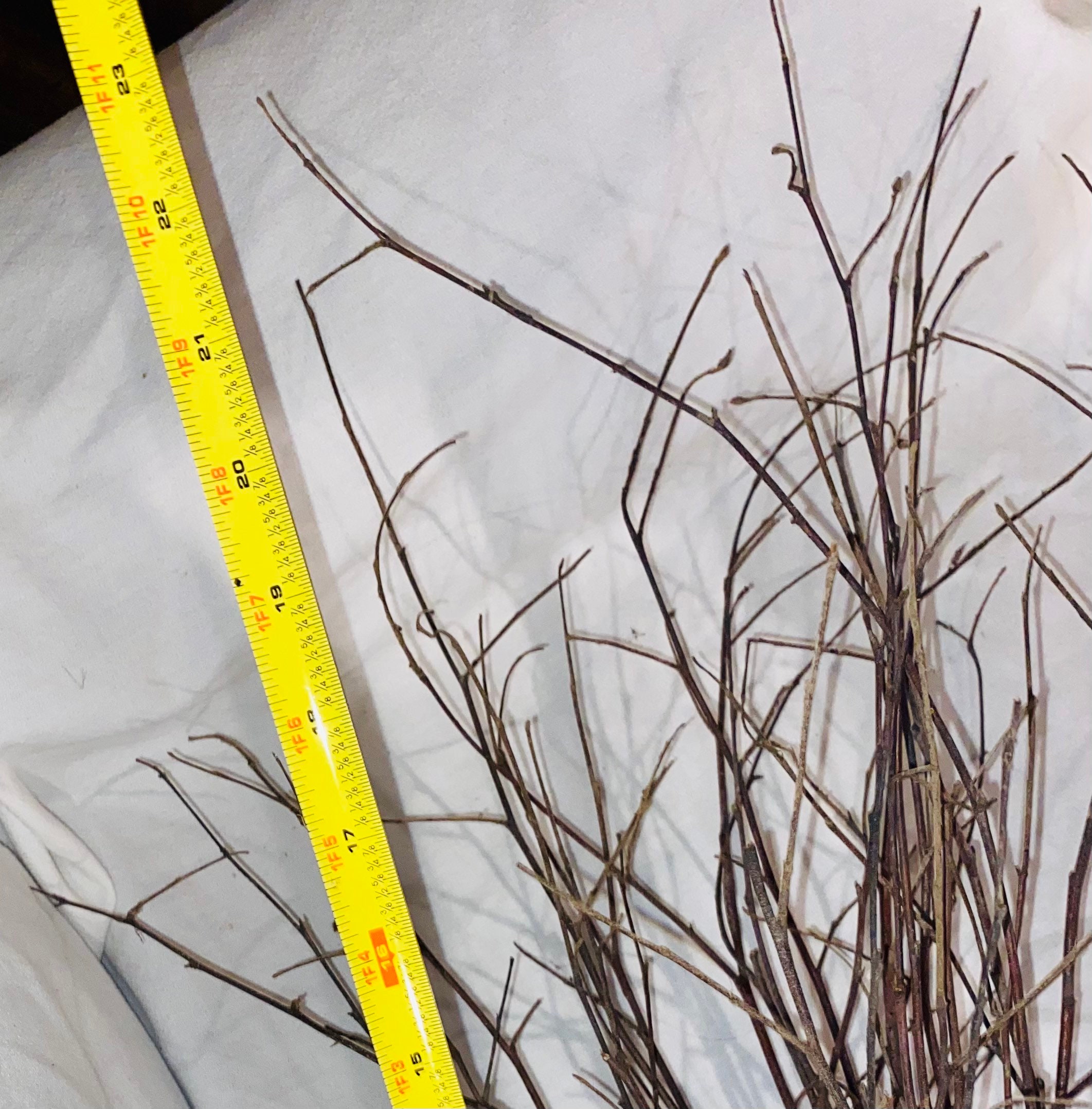 Extra Long Birch Twigs (20-24"): Rustic Wedding Floral Arrangement - Etsy