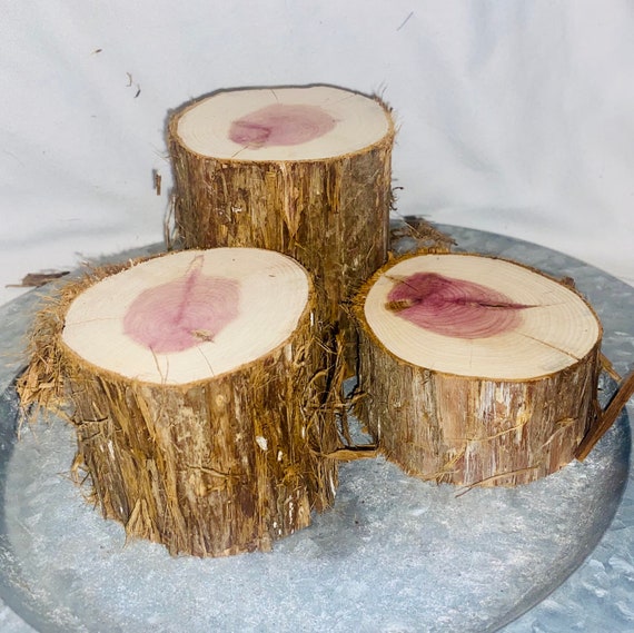 Rustic Cedar Stumps Set of 3 Live Edge Rustic Cedar Risers - Etsy