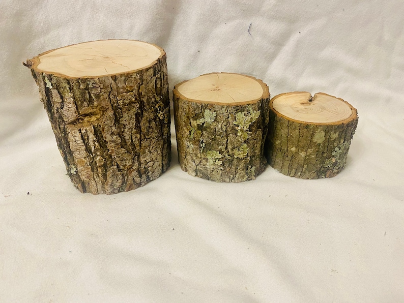 Rustic Wood Log Stumps Set of 3 With 3-4 Diameter Rustic - Etsy