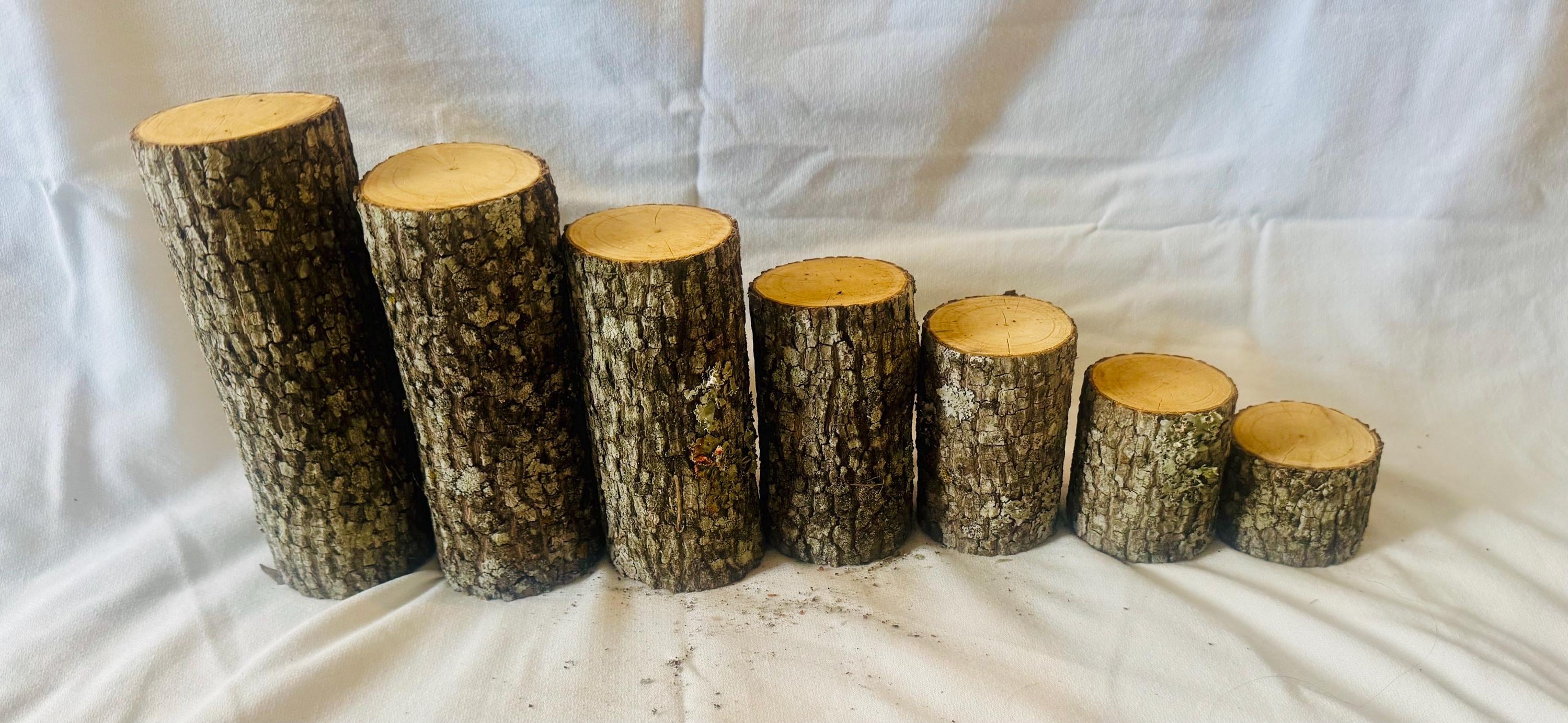 Rustic Wood Log Stumps: Set of 7, Natural Bark Decor - Etsy