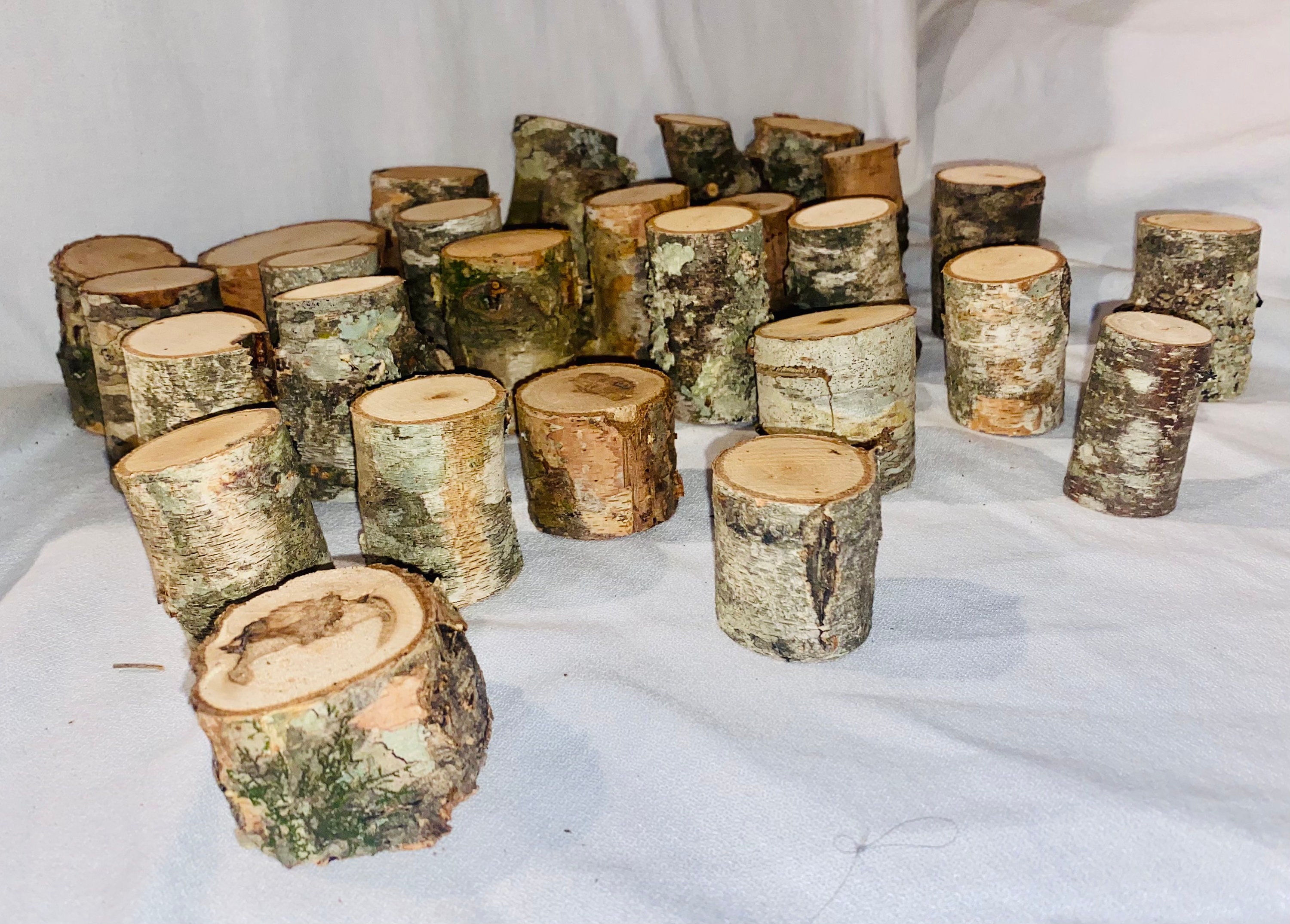Birch Log Pieces 25 Count Assorted Sizes Small Birch - Etsy