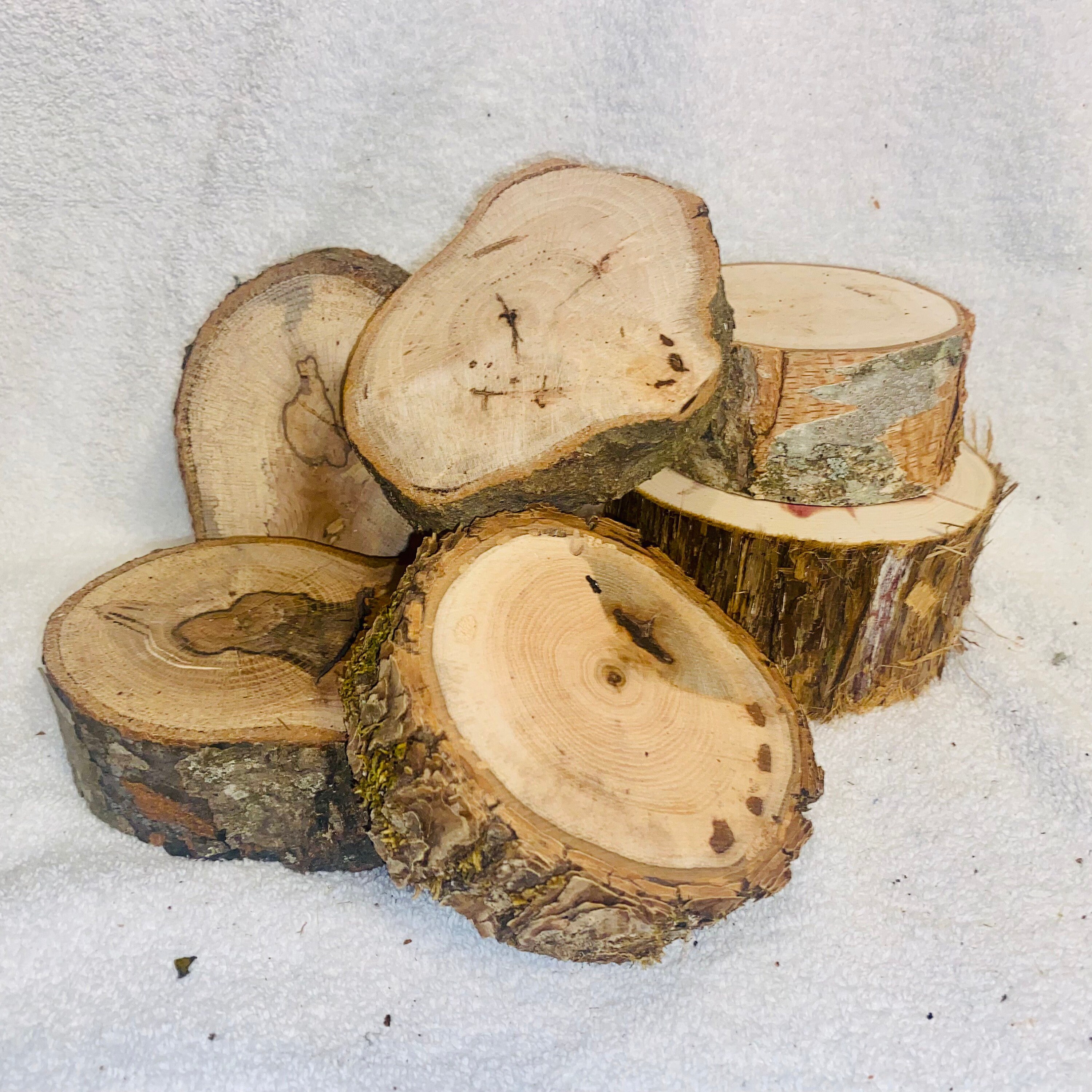 Live Edge Log Stumps Set of 8 Assorted Types Rustic Wood - Etsy