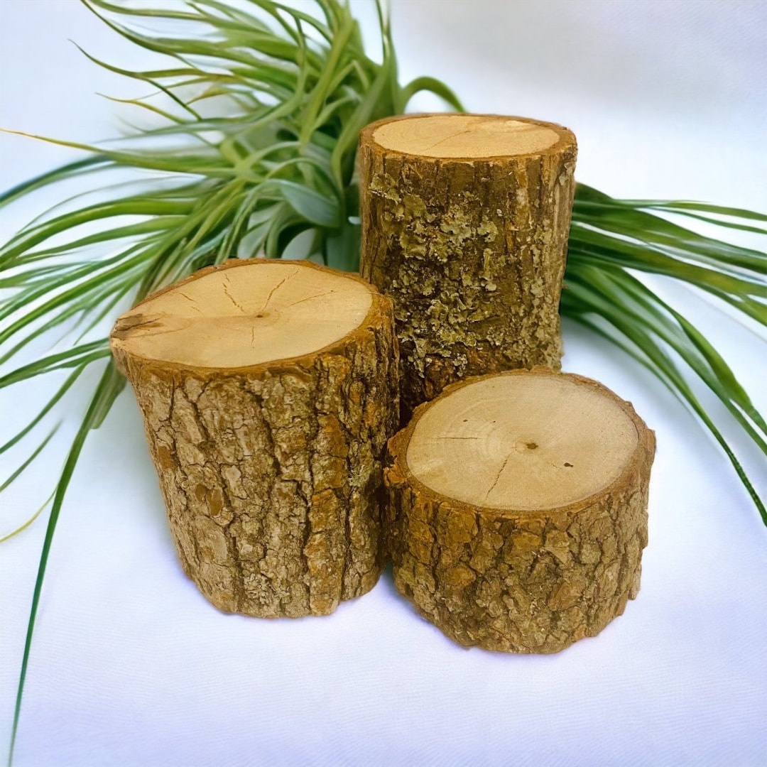 Rustic Wood Log Stumps - Set of 3 - Rustic Wood Decorations- Rustic ...