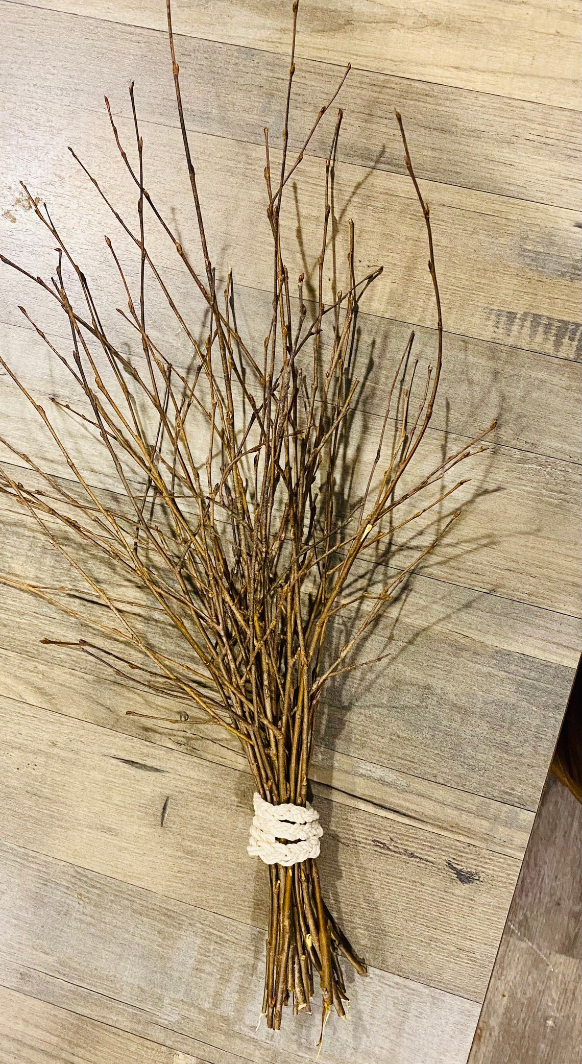 Bundle of natural thin Birch Twig Branches 50 total 18 | Etsy